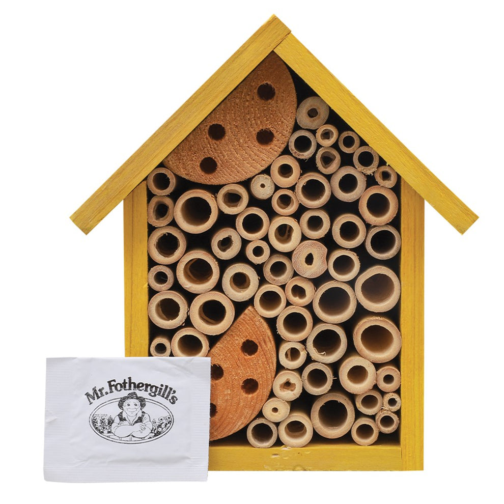 Bee & Insect House – Wisdom Activities