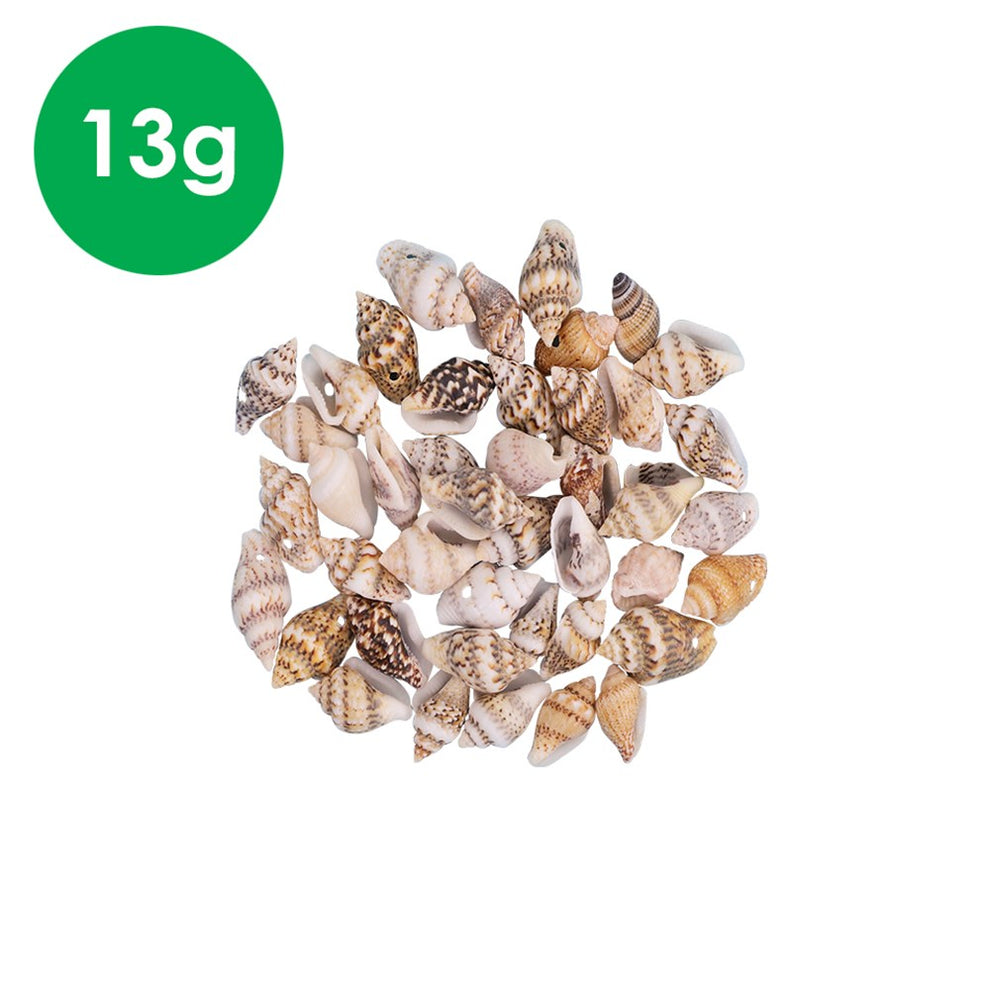 Conch Shell Beads - 13g Pack – Wisdom Activities