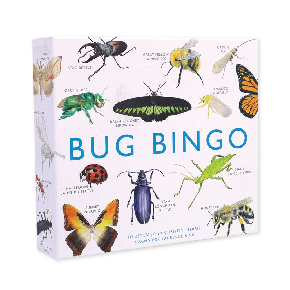 Bug Bingo Game – Wisdom Activities